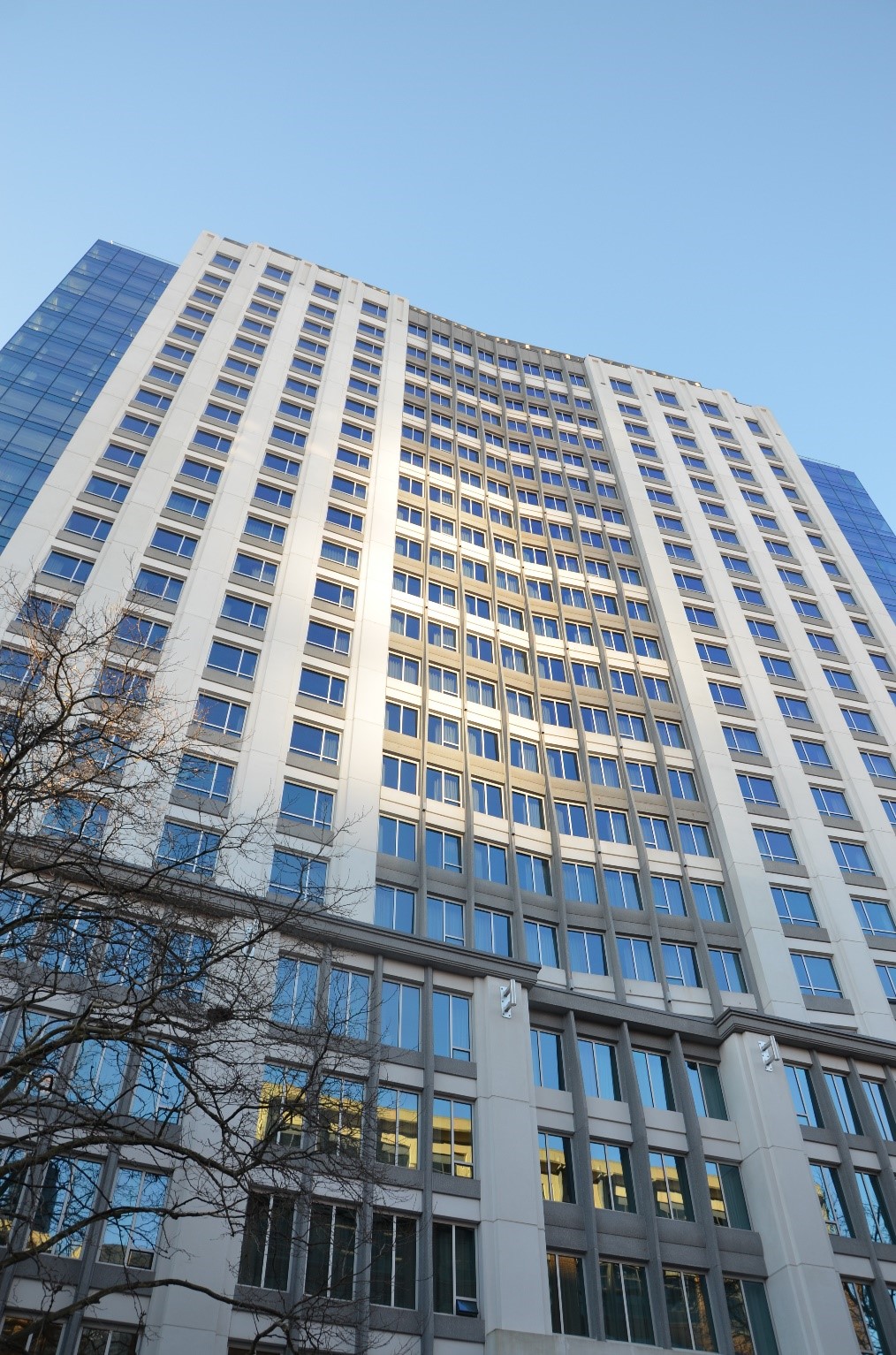 Avalara Hawk Tower - Seattle, WA | Freiheit Architecture